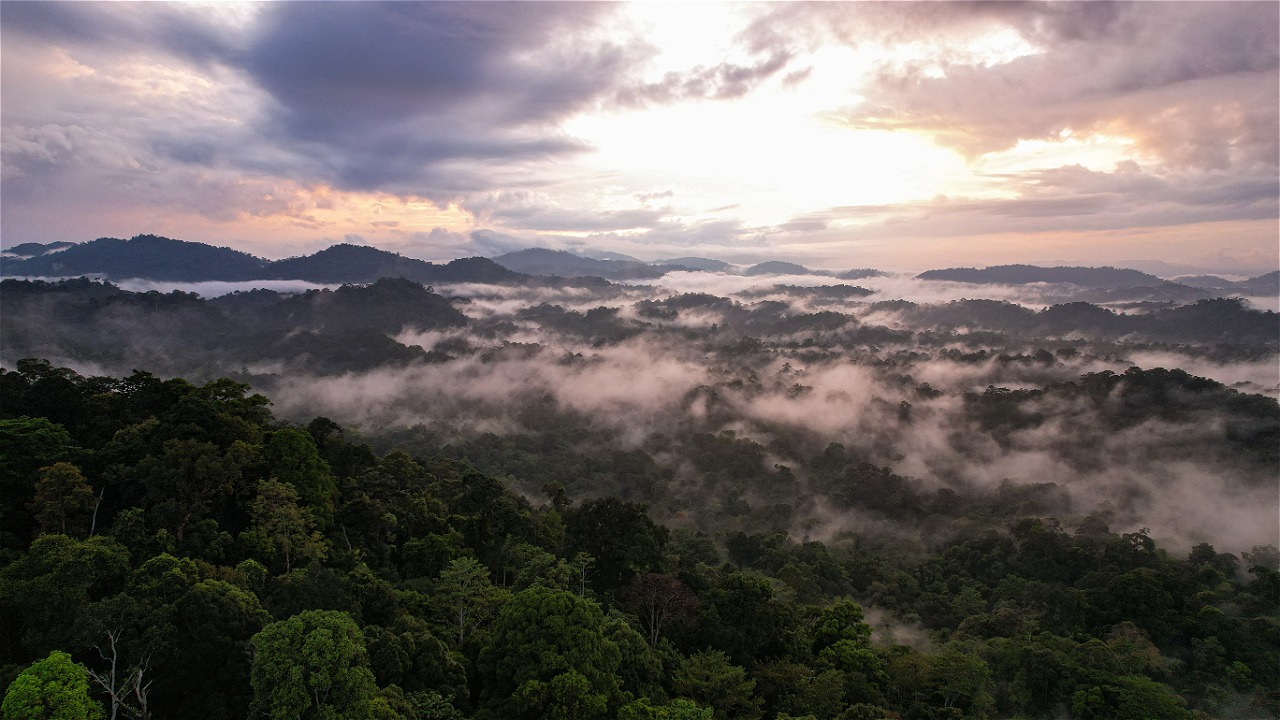 TNBBS BUFFER VILLAGE COMMUNITY PARTICIPATES IN RPJMDES PREPARATION TRAINING