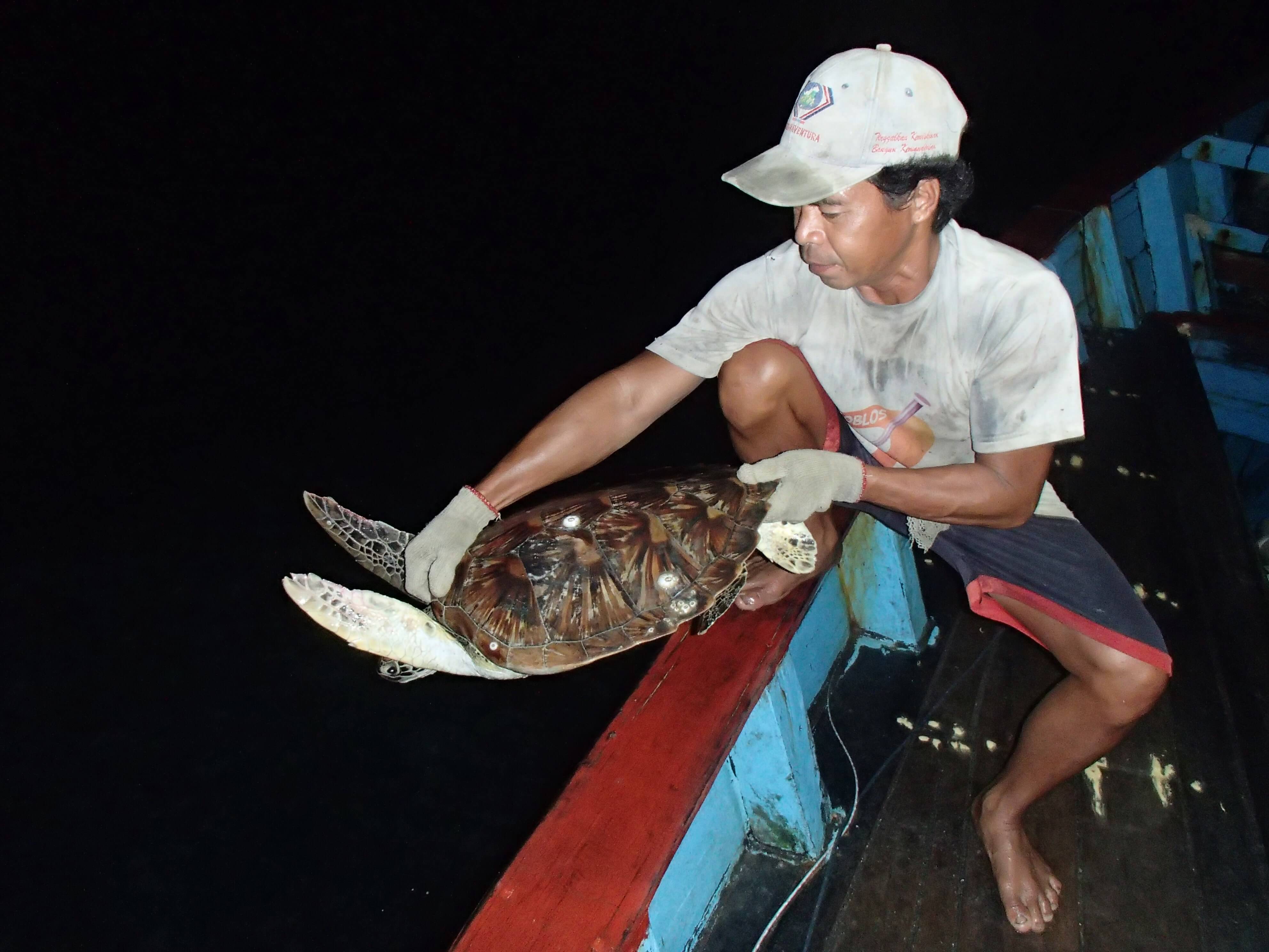 GIVING A SPACE FOR DISCUSSION ABOUT THE RELEASE OF GREEN TURTLES IN ...