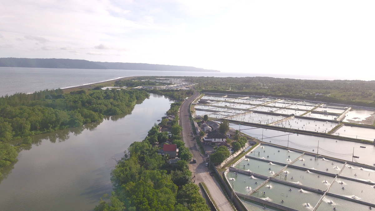 PROTECTING THE ENVIRONMENT, BUILDING TRUST: PT DGS JOURNEY TOWARDS ASC ...