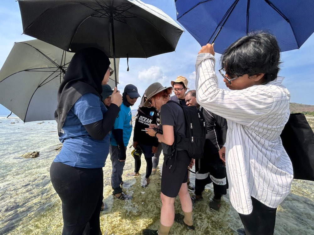 KUVA SPACE PARTNERS WITH WWF-INDONESIA TO BRING HYPERSPECTRAL SATELLITE ...