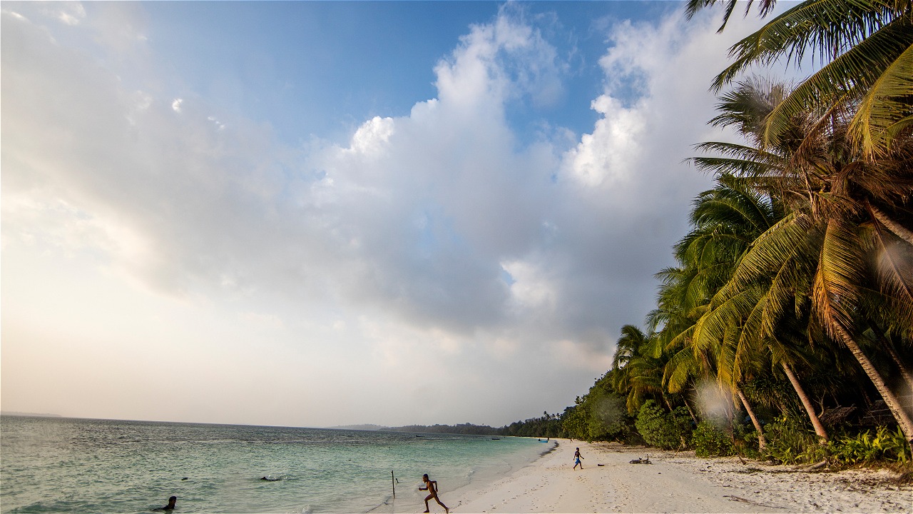 BACK AFTER 3 YEARS | wwf.id