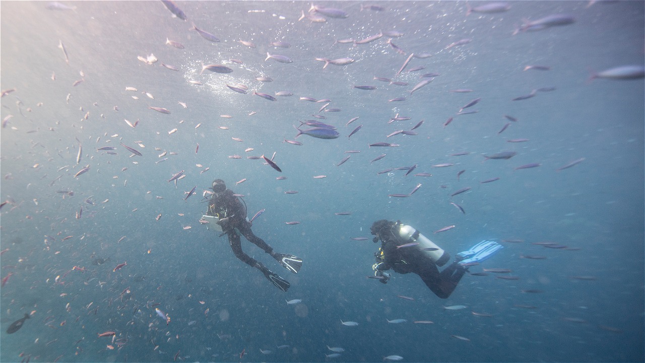 7 FAVORITE FOODS OF EXPEDITION PARTICIPANTS