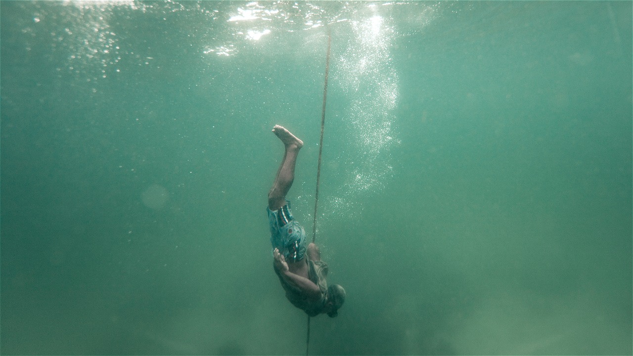 SHARPEN YOUR BRAIN BEFORE JUMPING INTO THE SEA! | wwf.id