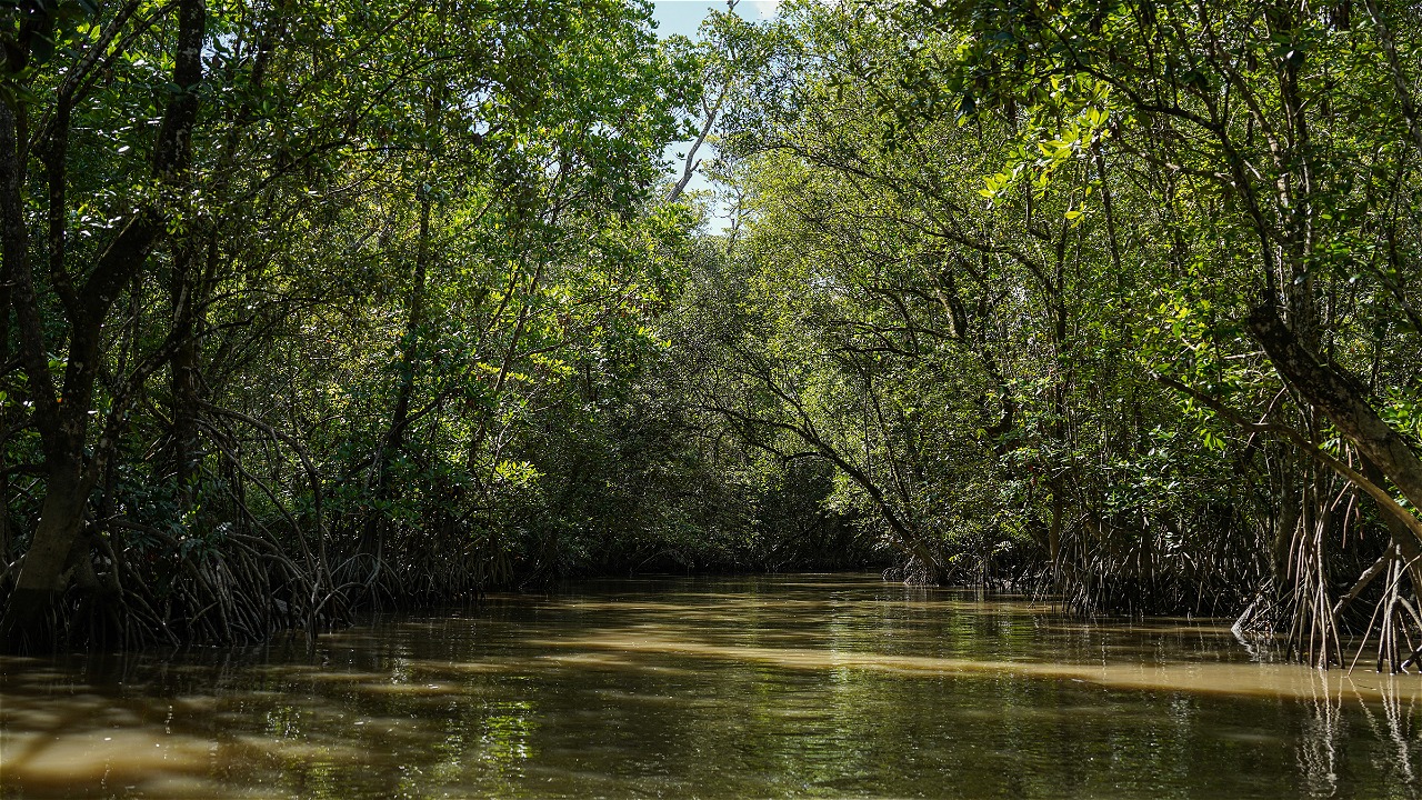 LANDSCAPE-BASED SUSTAINABLE MANGROVE CONSERVATION