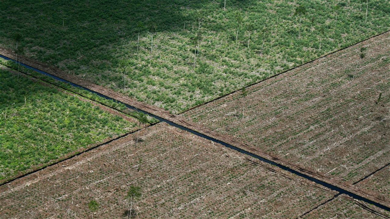 SARAN BAGI PARA PEMBELI DAN INVESTOR RGE/APRIL