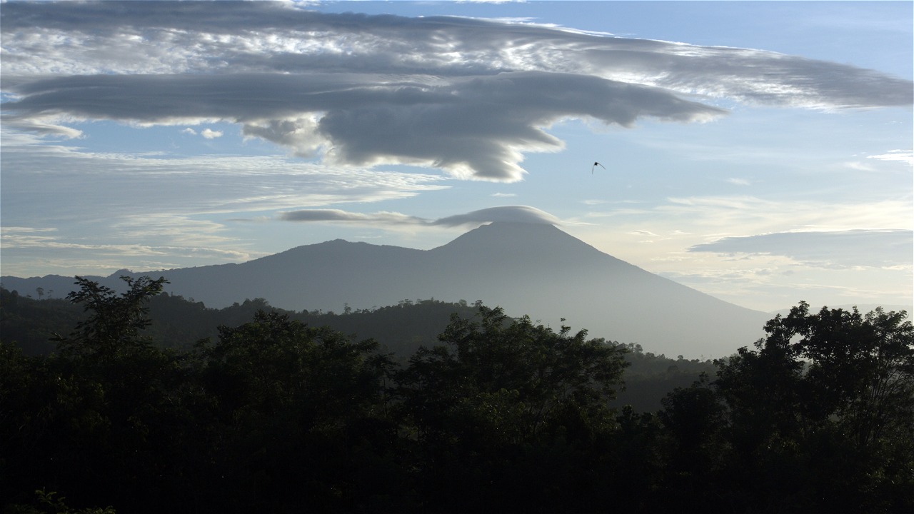 BERMAIN DAN BELAJAR MENCINTAI LINGKUNGAN HIDUP DI BUMI PANDA