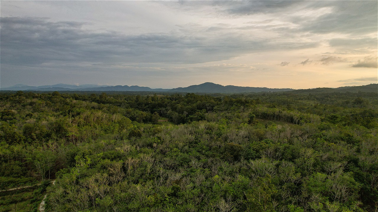 AN AGREEMENT ON DEVELOPMENT PLAN OF FOREST MANAGEMENT UNIT (KPH ...