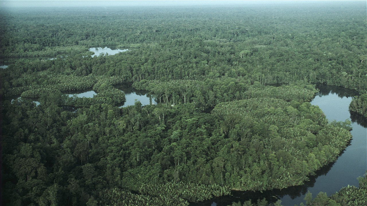 LEARNING ABOUT PROTECTED ANIMALS IN BUMI PANDA