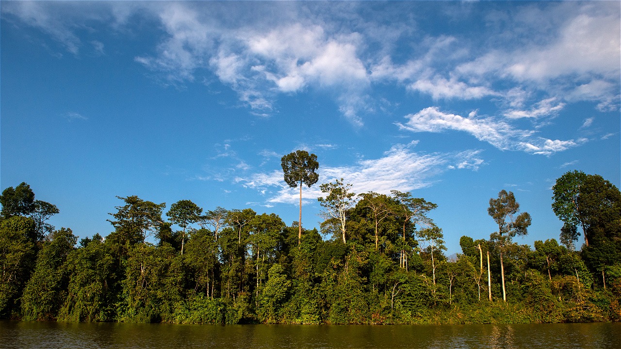 GUNUNG LUMUT DIUSULKAN JADI TAMAN NASIONAL