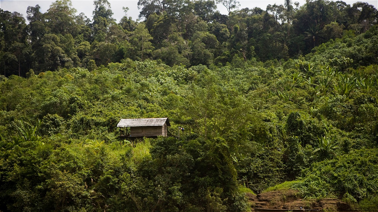 WWF KALBAR COLLABORATES WITH 2 STRATEGIC PARTNERS TO SPREAD ...