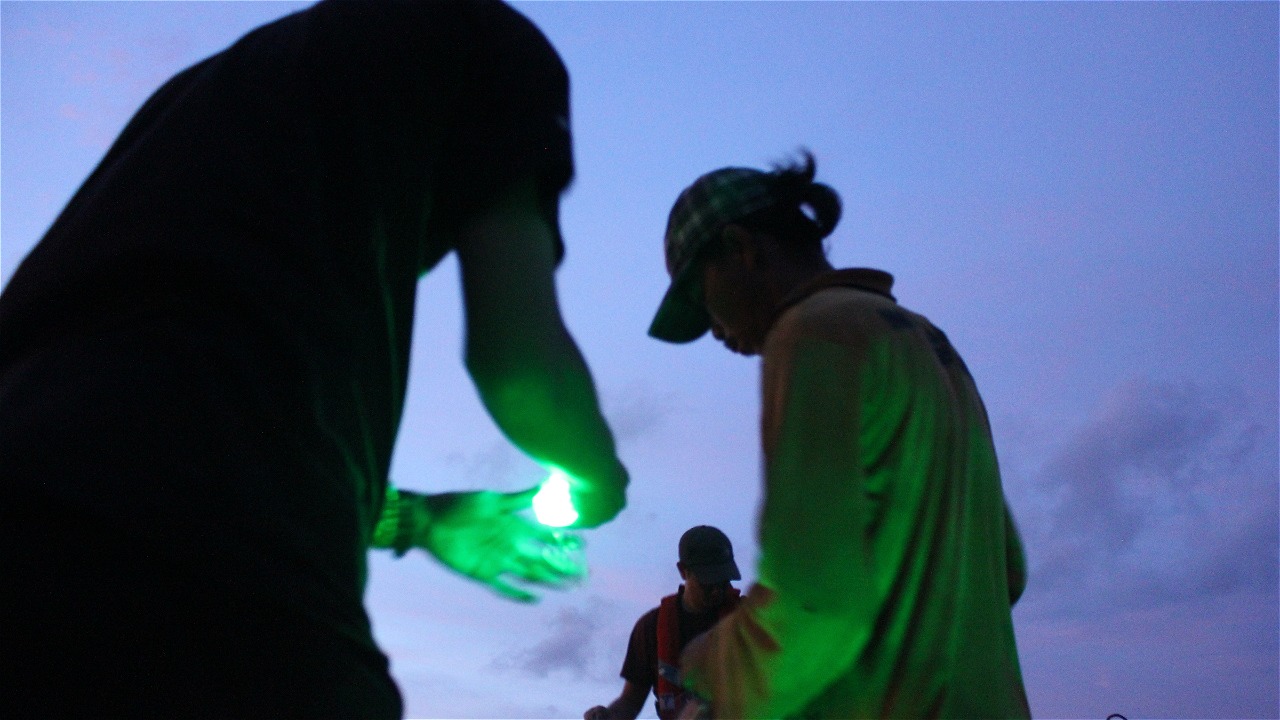 REDUCE BYCATCH, GREEN LED IS THE SOLUTION