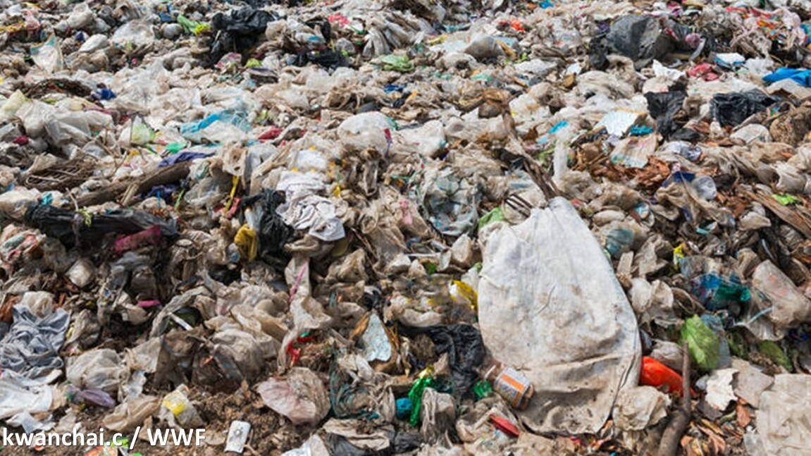 WWF REPORT SAYS, ACCOUNTABILITY SYSTEM COULD SOLVE PLASTIC POLLUTION CRISIS
