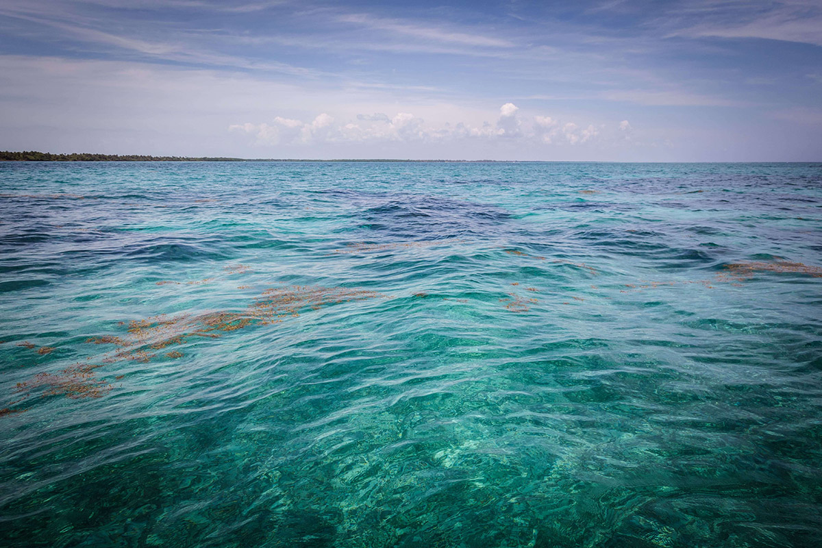 KELAUTAN DAN PERIKANAN | Global Environmental Conservation Organization ...