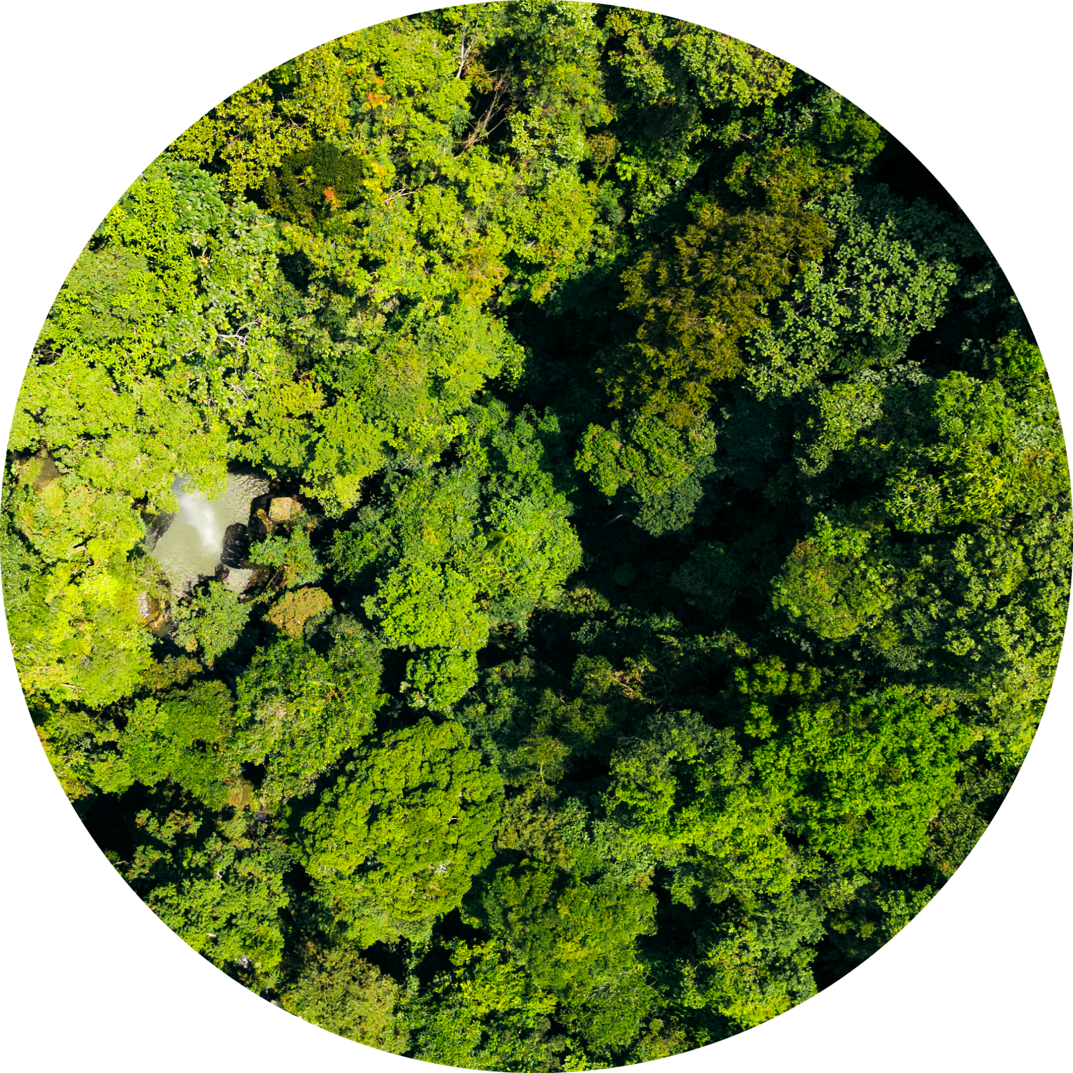 Tentang The Climate Solutions Partnership | Global Environmental ...