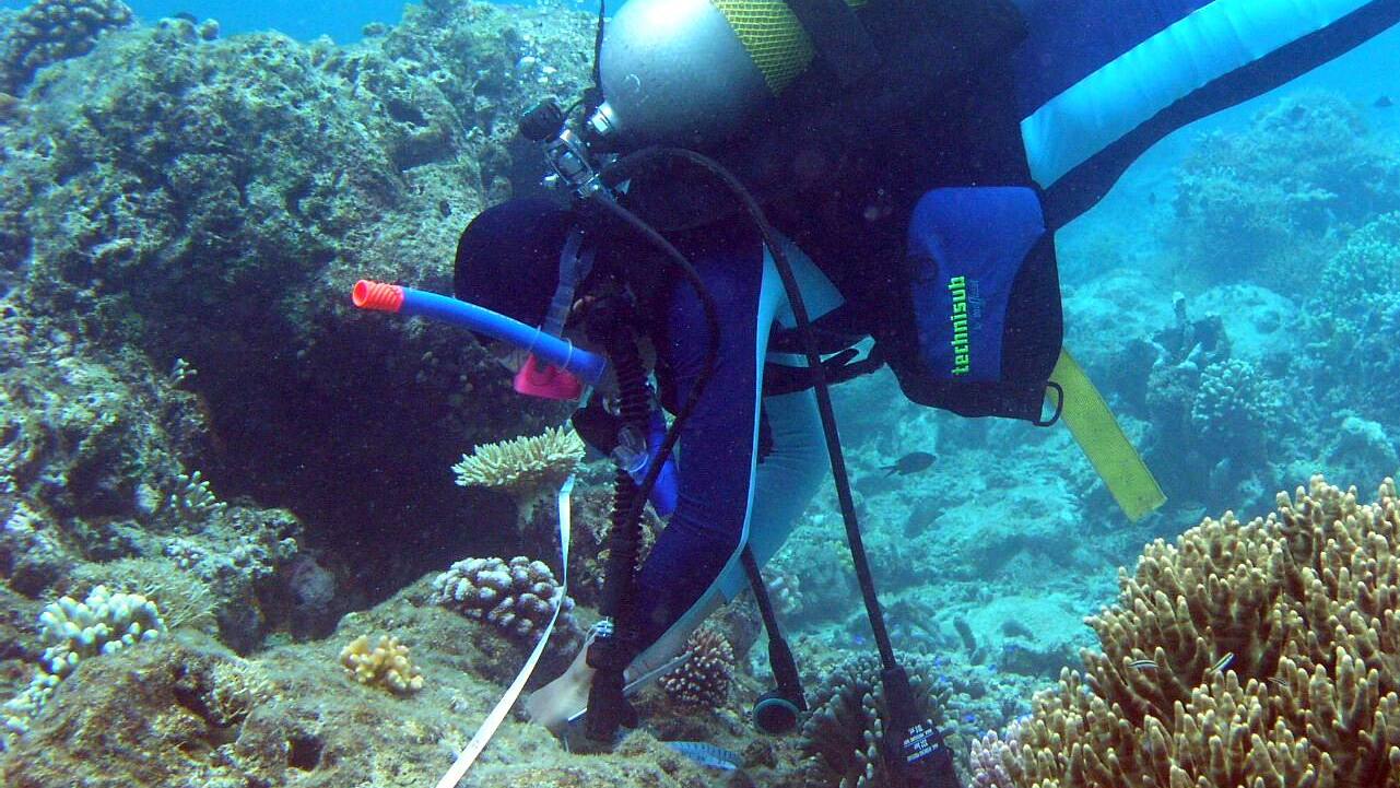 SIAPA KAMI | Global Environmental Conservation Organization - WWF Indonesia