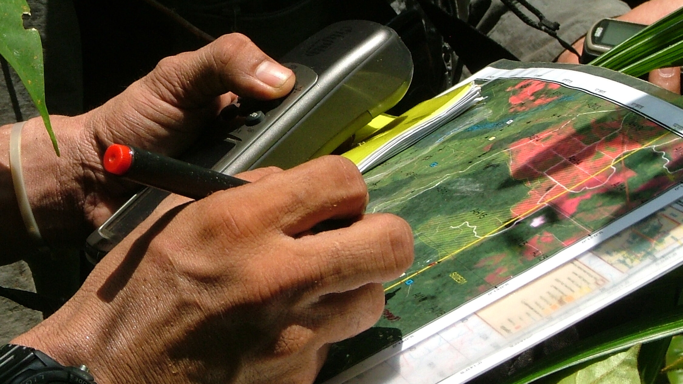 ARTIKEL | Global Environmental Conservation Organization - WWF Indonesia