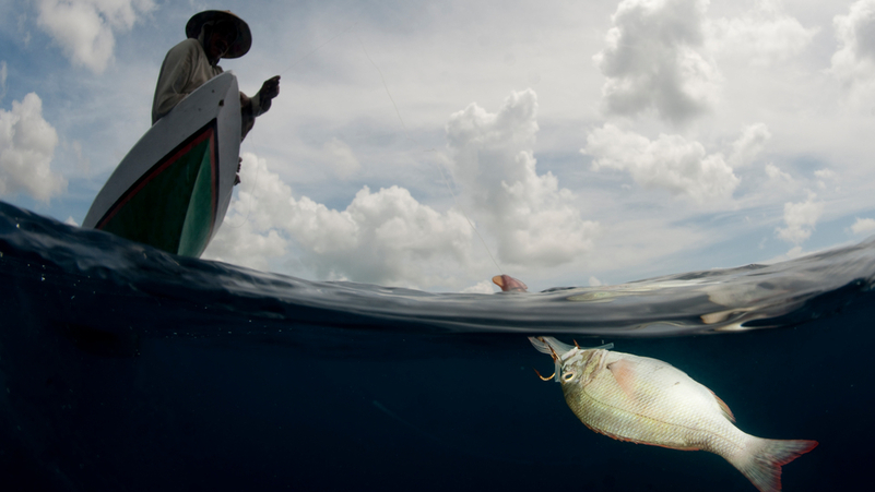 BENTANG LAUT PAPARAN SUNDA | Global Environmental Conservation ...